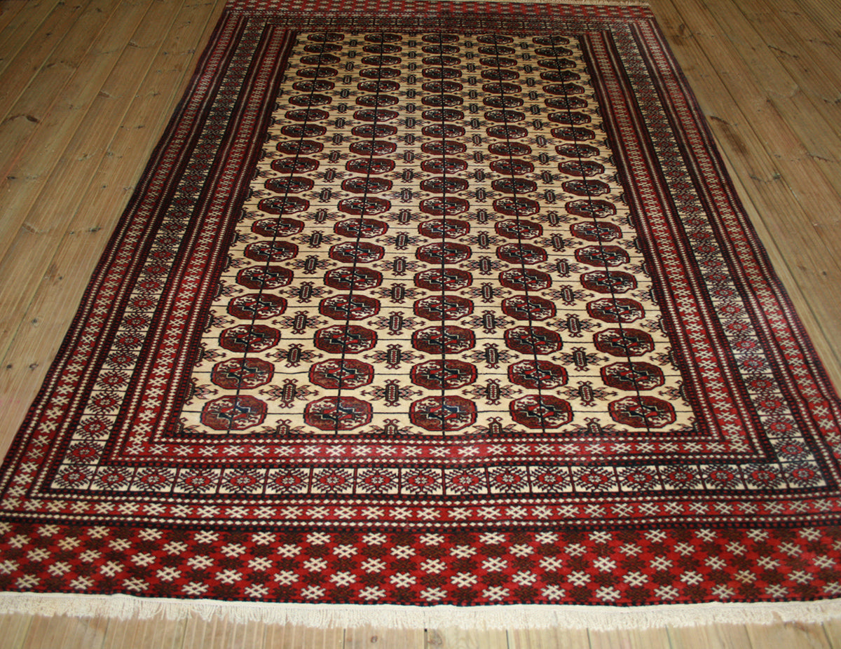 Hand-Knotted Afghan Turkmen Rug - Ref: 1862 - 285 x 187cm – Little-Persia